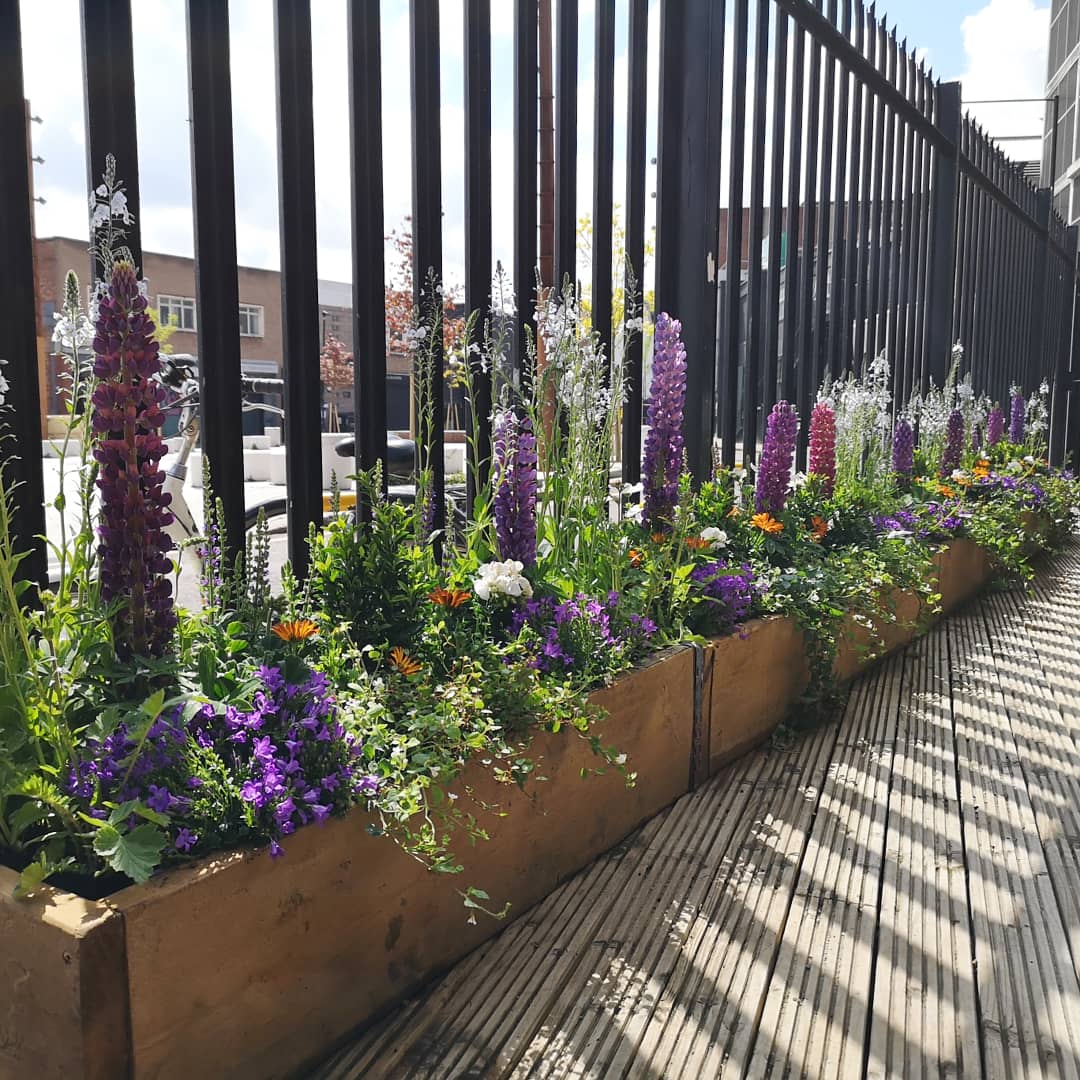 Scaffolding Board Boxes - Horticruitment